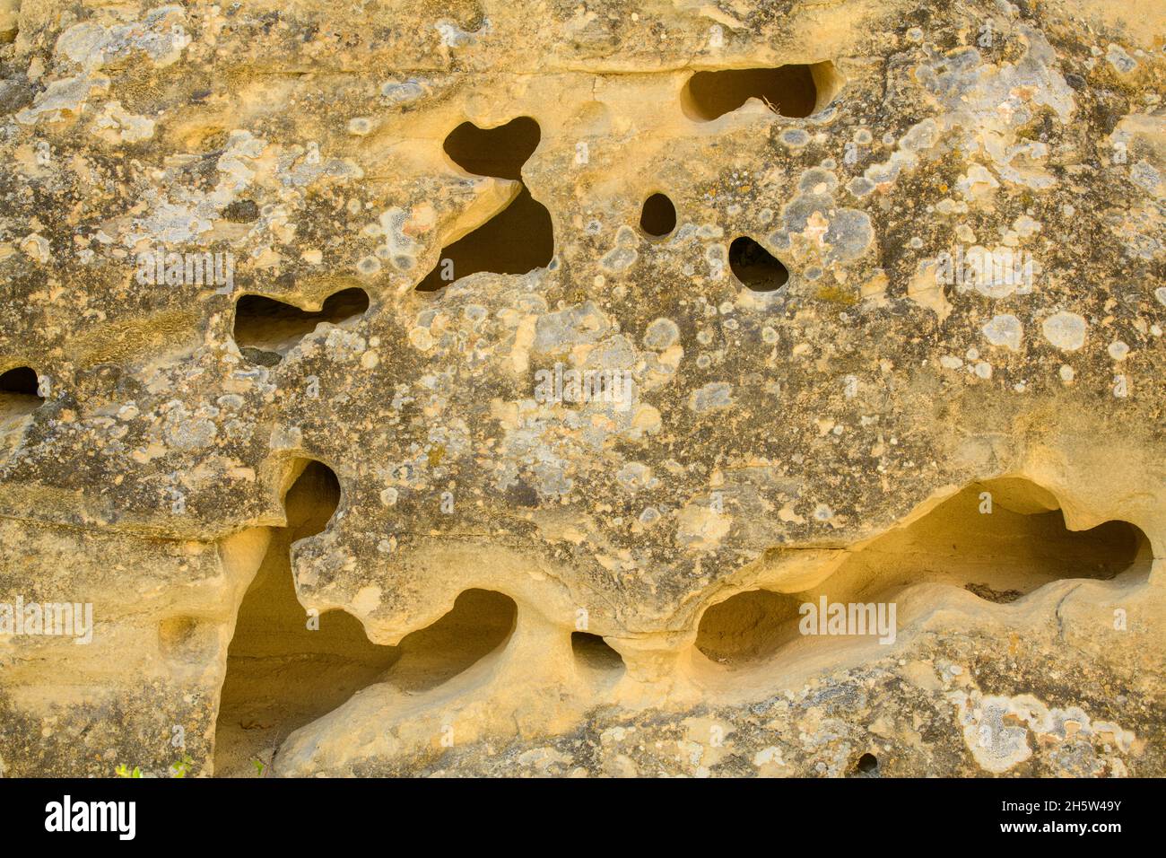Sandstone hoodoos, Writing on Stone Provincial Park, Alberta, Canada ...