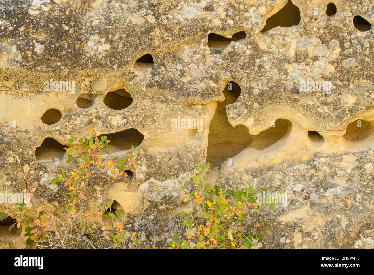 Sandstone hoodoos, Writing on Stone Provincial Park, Alberta, Canada ...