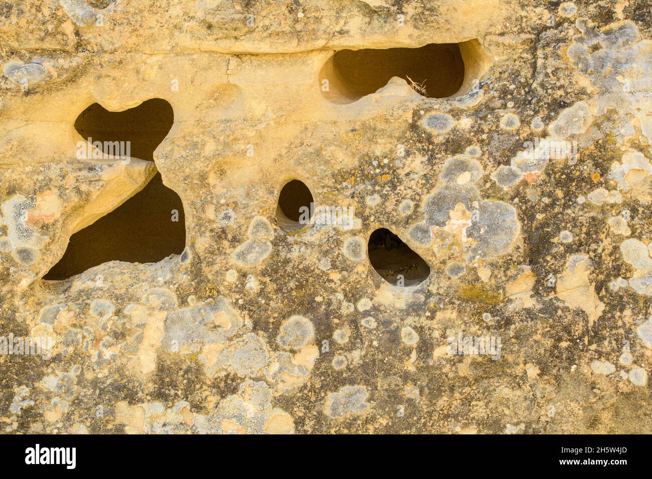 Sandstone hoodoos, Writing on Stone Provincial Park, Alberta, Canada ...