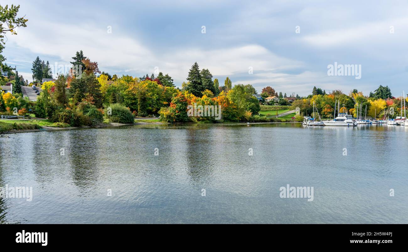 A Lake Wasington marina and colorful fall trees in Seattle, Washington ...