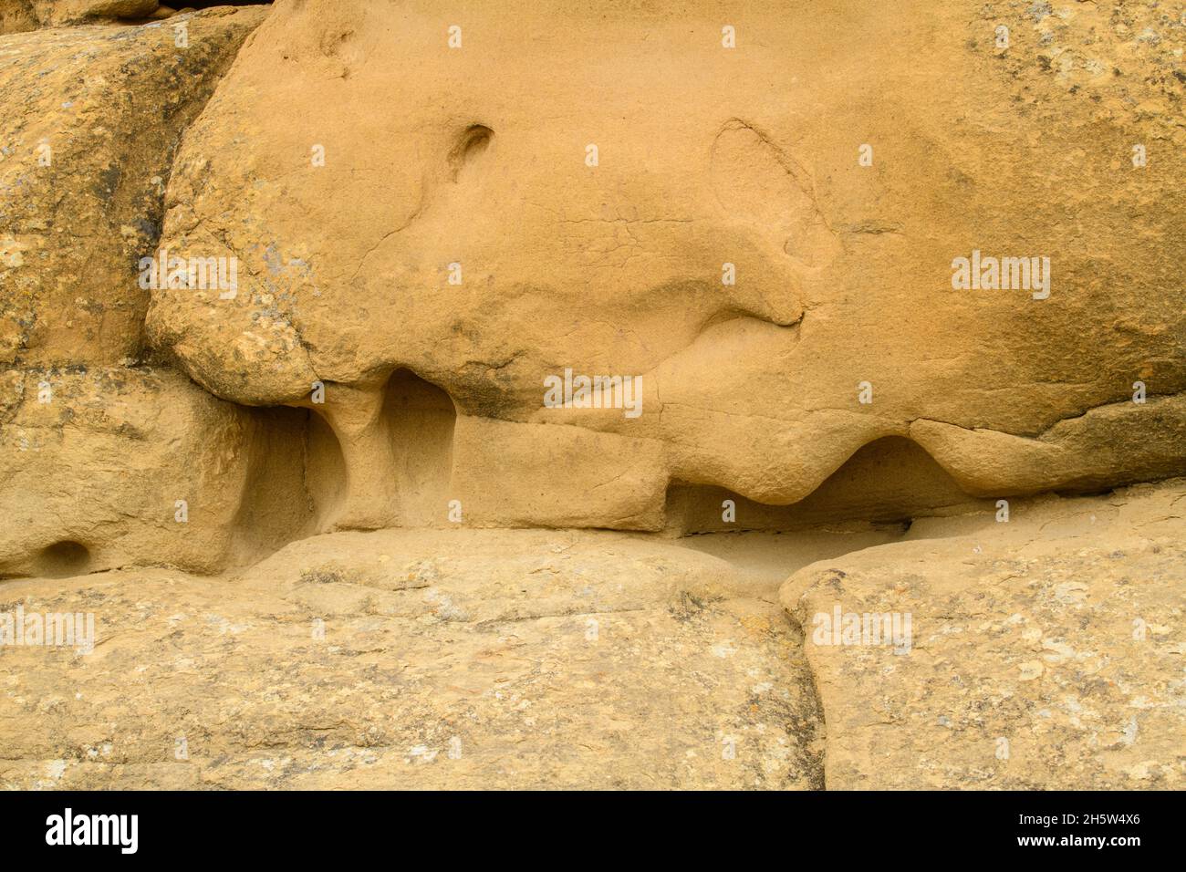 Sandstone hoodoos, Writing on Stone Provincial Park, Alberta, Canada ...