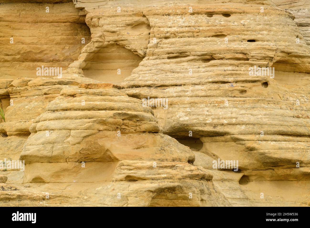 Sandstone hoodoos, Writing on Stone Provincial Park, Alberta, Canada ...