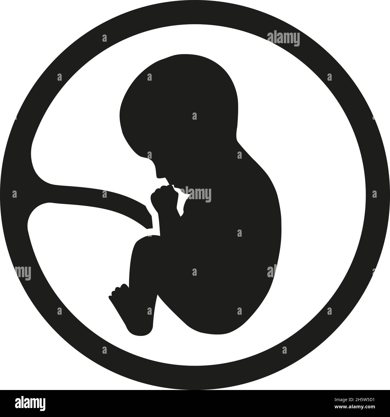 Fetal vector vectors hi-res stock photography and images - Alamy