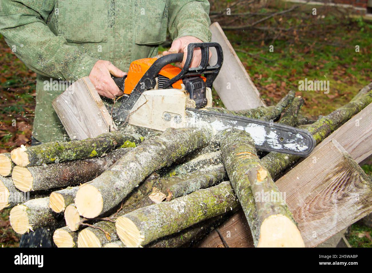Close-up professional chainsaw blade cutting log of wood Stock Photo ...