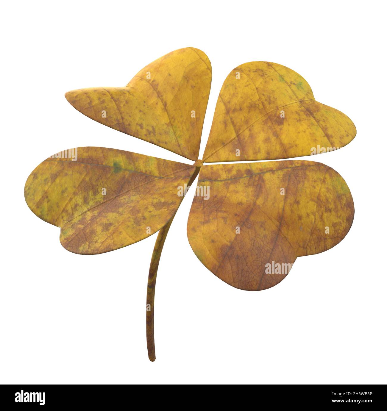 Yellow Red Four Leaf Clover Stock Vector Image & Art - Alamy