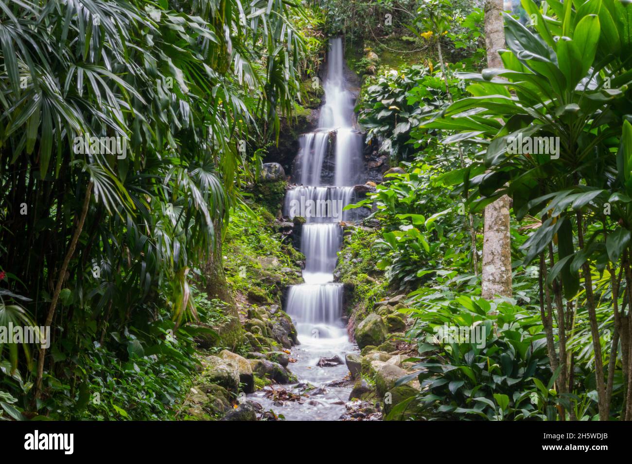 long exposure fall of a waterfall in Rio de Janeiro Stock Photo - Alamy