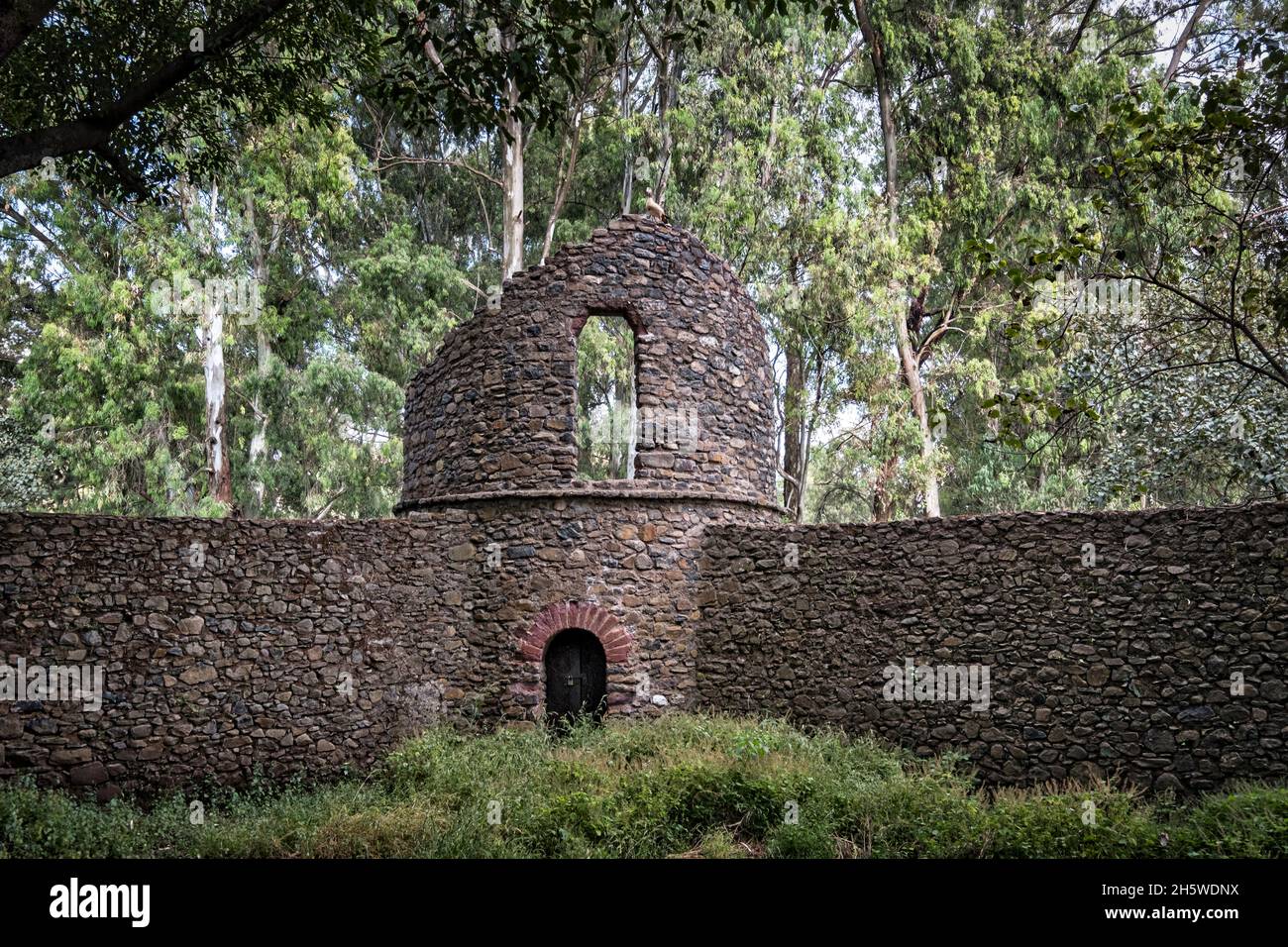 Fasiladas' Bath in Gondar, Ethiopia, Africa Stock Photo - Alamy