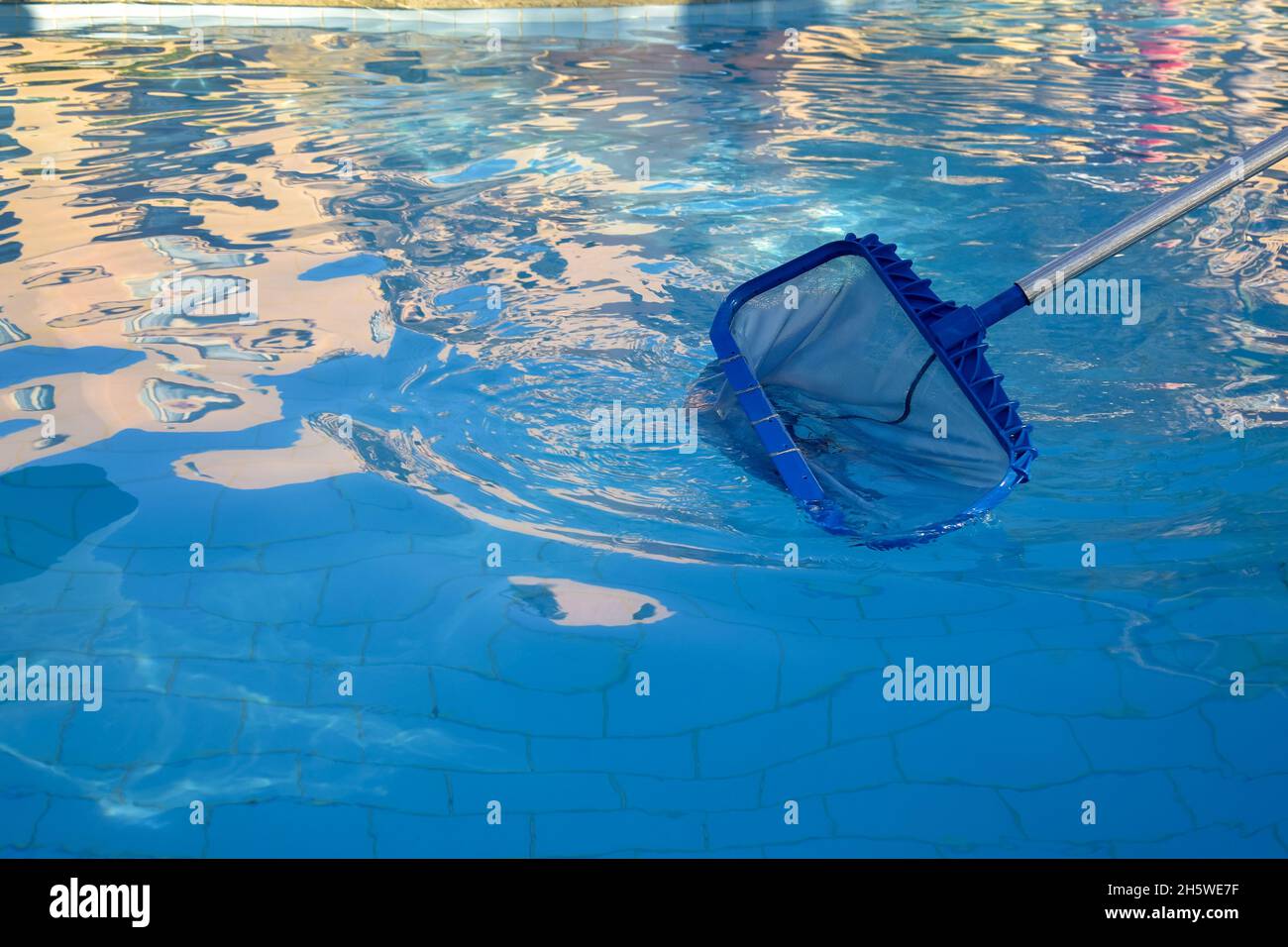 Cleaning pool from garbage with special net. Clear water with blue tint ...
