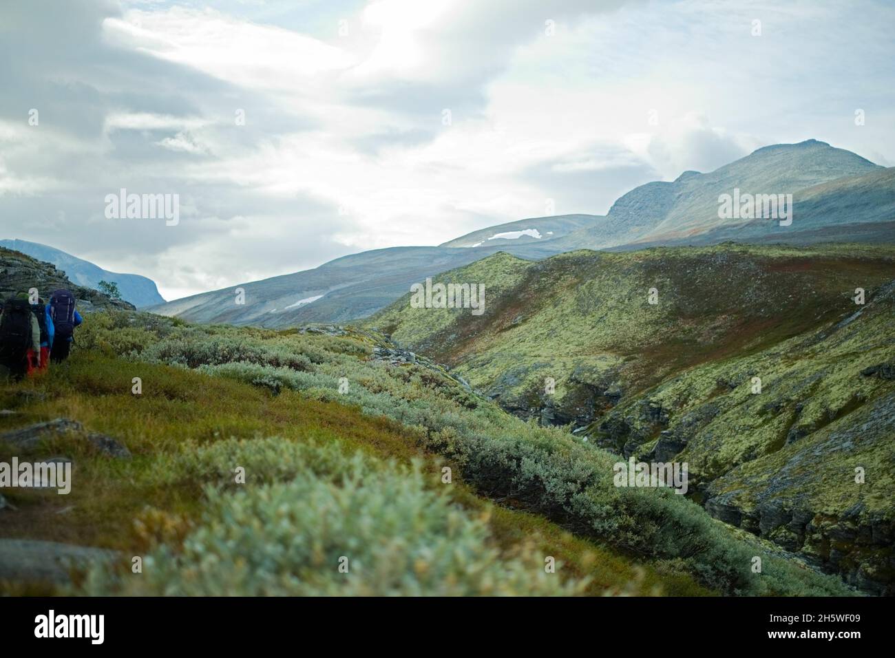 Grassy fields and mountain ranges at the Rondane national park in ...