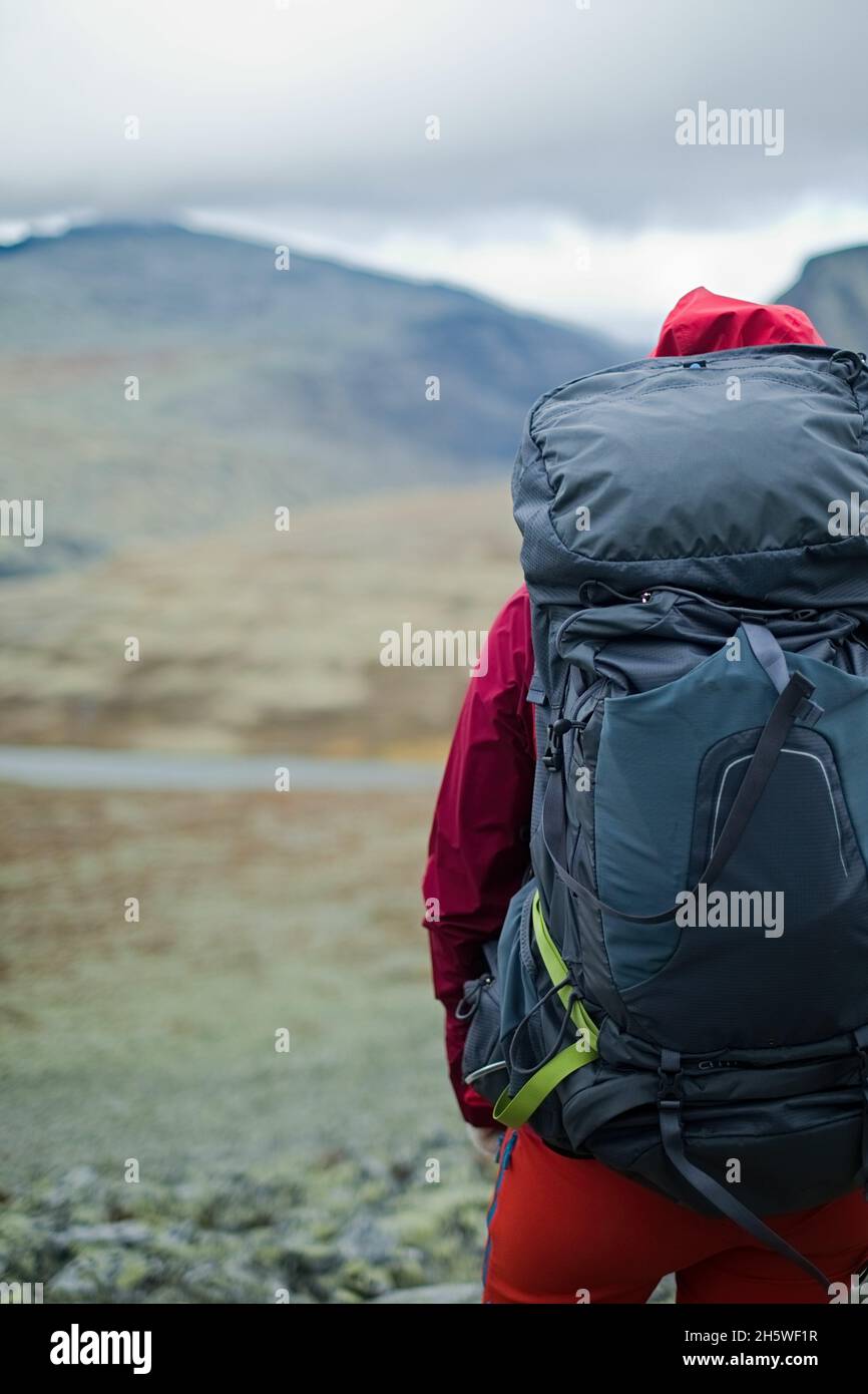 Vertical back view of a hiker with the Rondane national park in the ...
