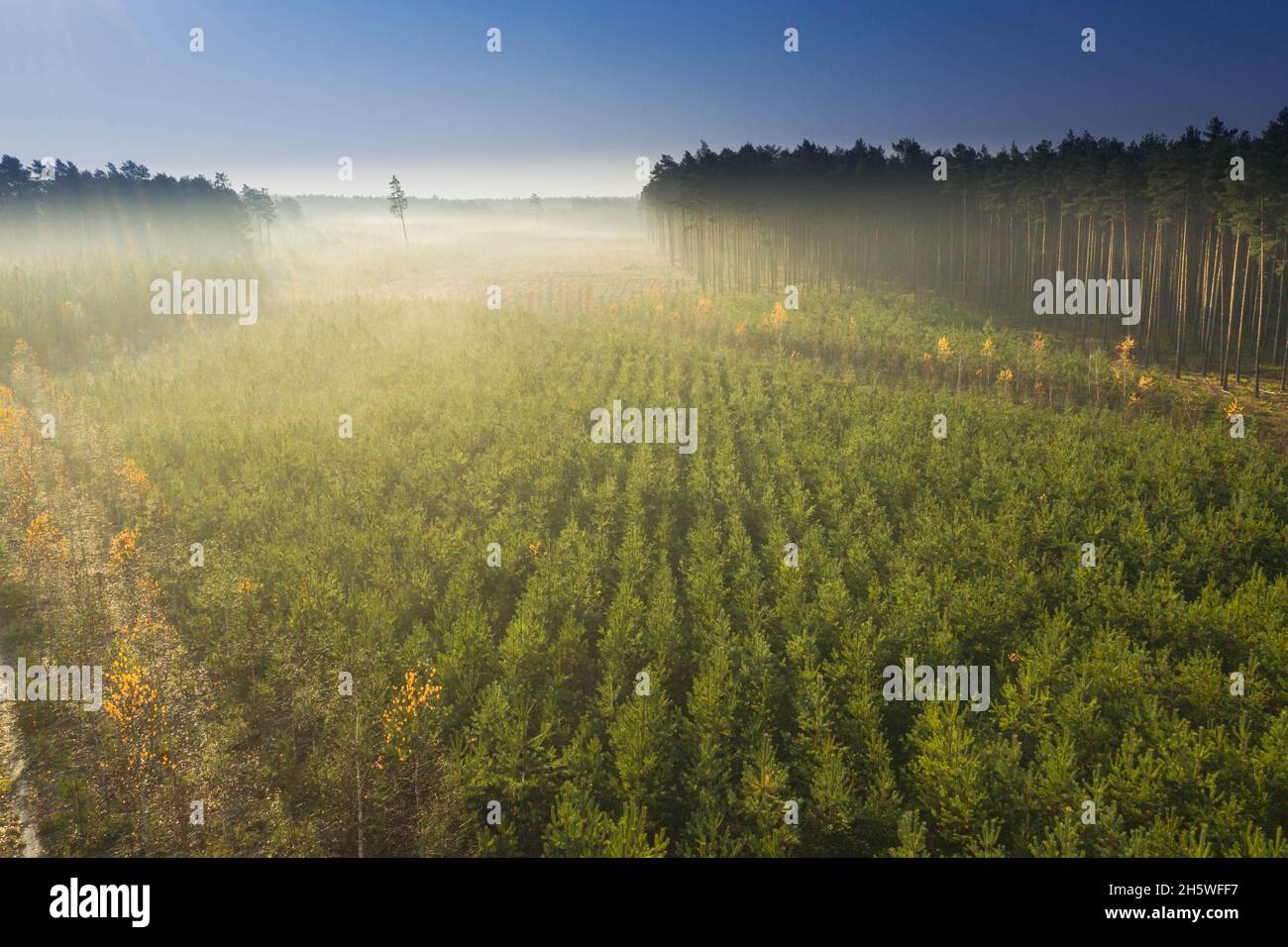 Plain lighting hi-res stock photography and images - Alamy