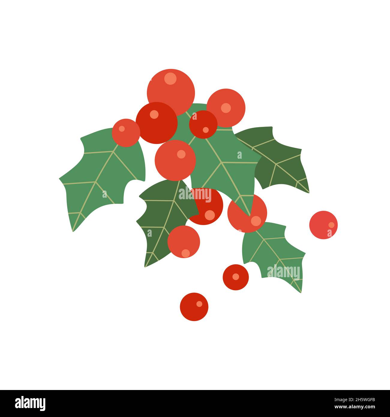 Winterberry vector vectors hi-res stock photography and images - Alamy