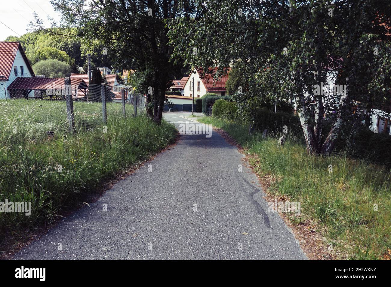 Path with small houses and trees Stock Photo - Alamy