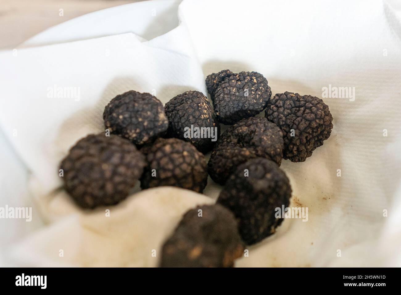Luxury truffle hi-res stock photography and images - Alamy