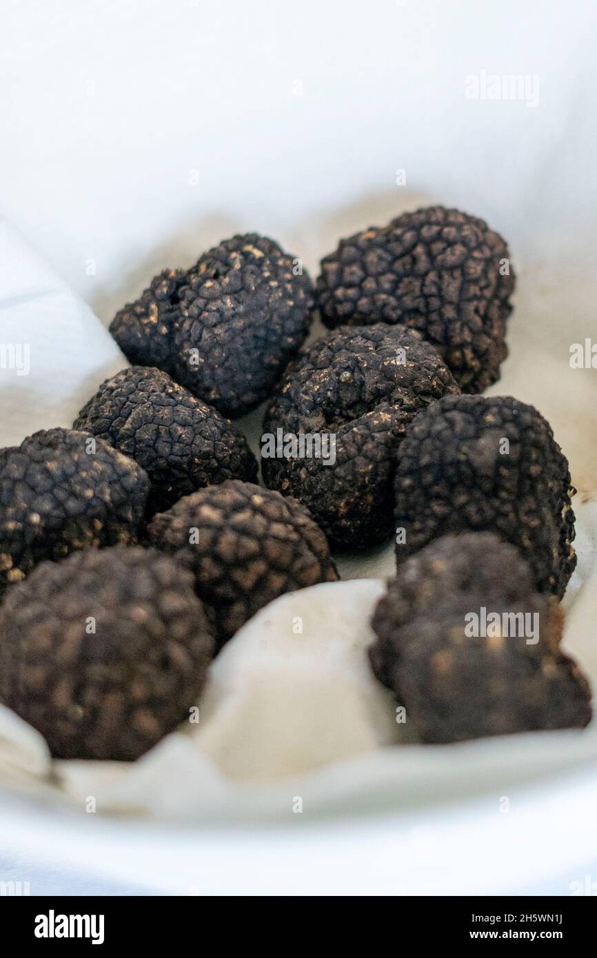 Whole truffle hi-res stock photography and images - Alamy