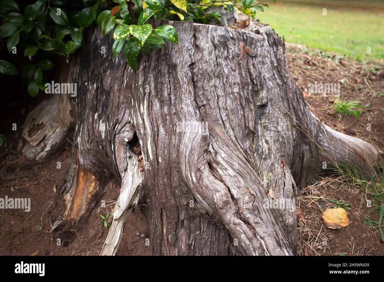 Natural reclamation hi-res stock photography and images - Alamy