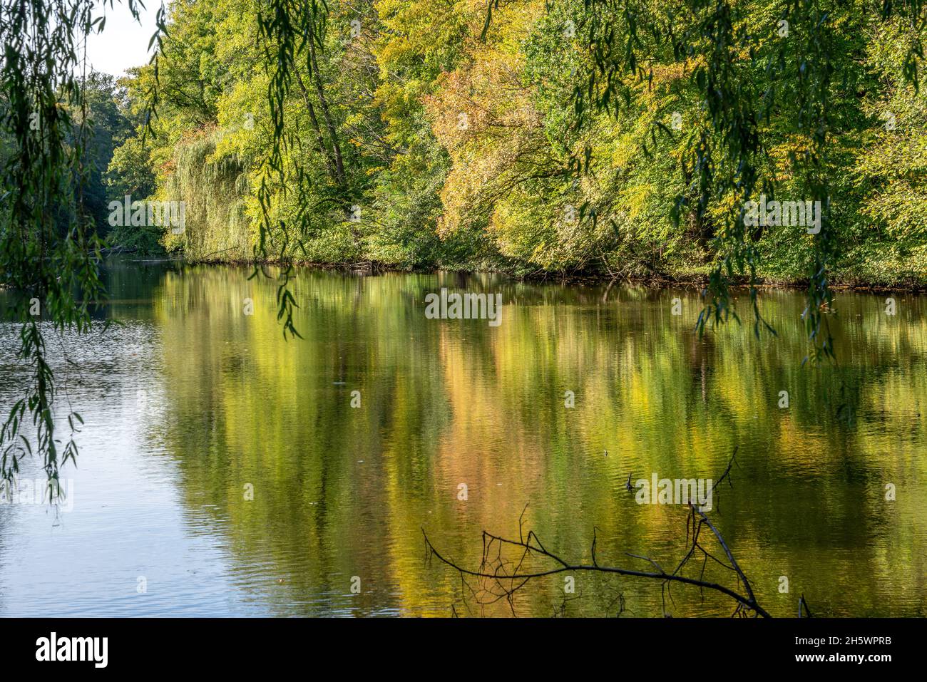 Landscape of a lake surrounded by greenery in a forest in autumn Stock ...