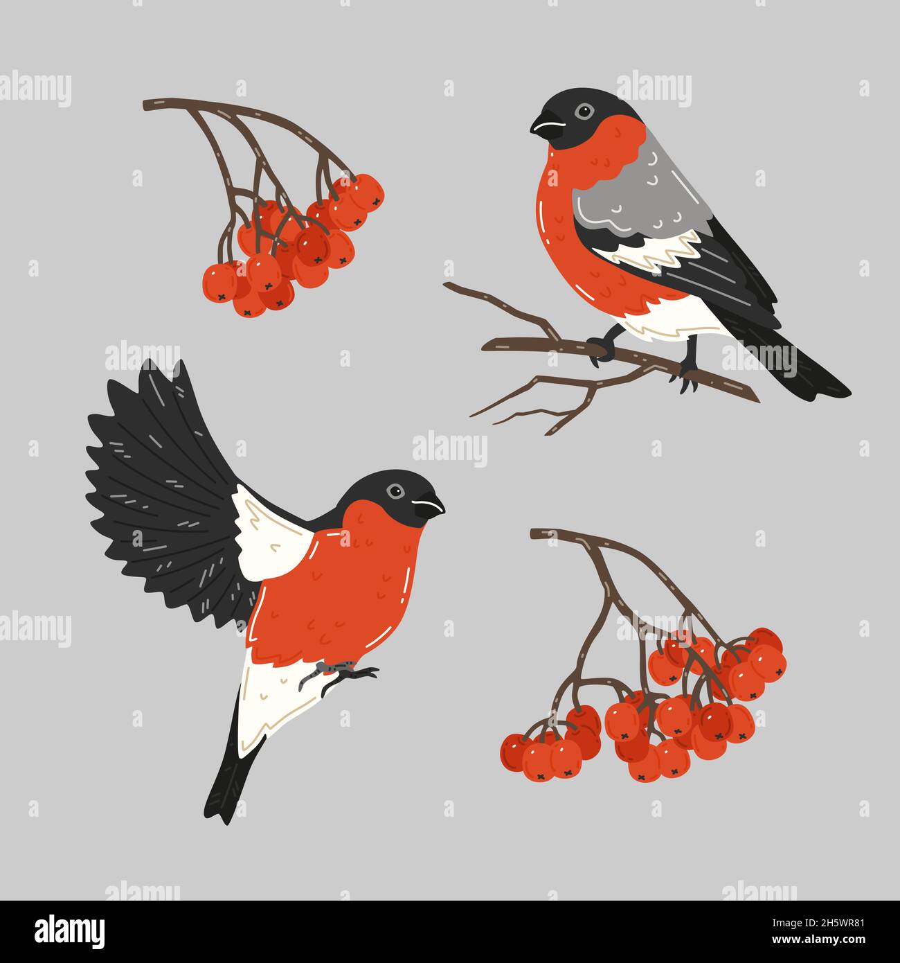 Rowan tree branches Stock Vector Images - Alamy