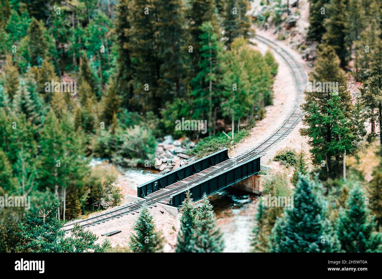 Aerial view of railroads in the forest with green spruce trees in ...