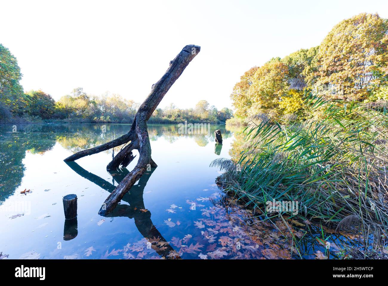 Autumn foliage scenery during daylight Stock Photo - Alamy