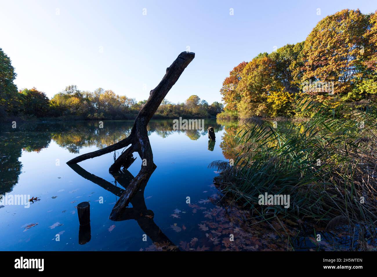 Autumn foliage scenery during daylight Stock Photo - Alamy