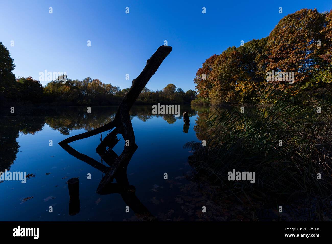 Autumn foliage scenery during daylight Stock Photo - Alamy
