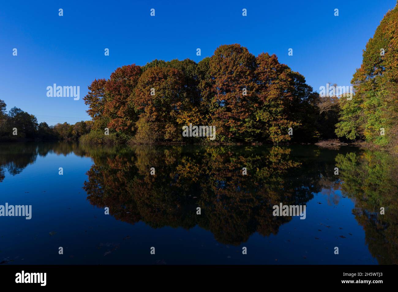 Autumn foliage scenery during daylight Stock Photo - Alamy