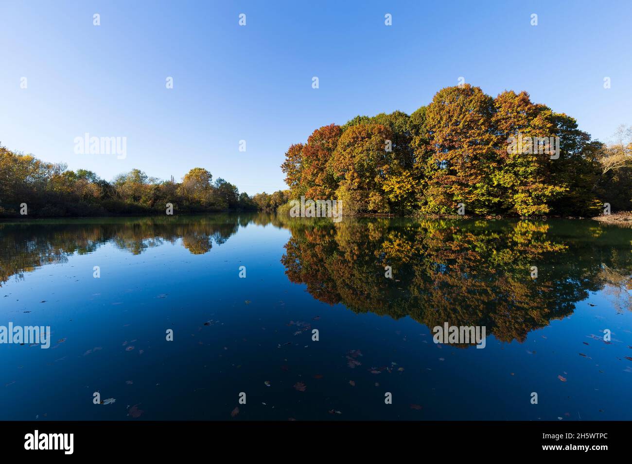 Autumn foliage scenery during daylight Stock Photo - Alamy