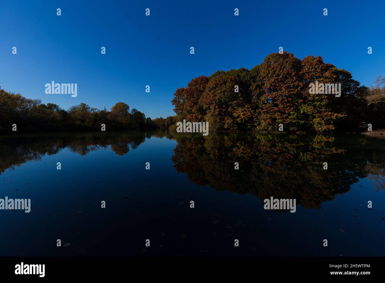 Autumn foliage scenery during daylight Stock Photo - Alamy