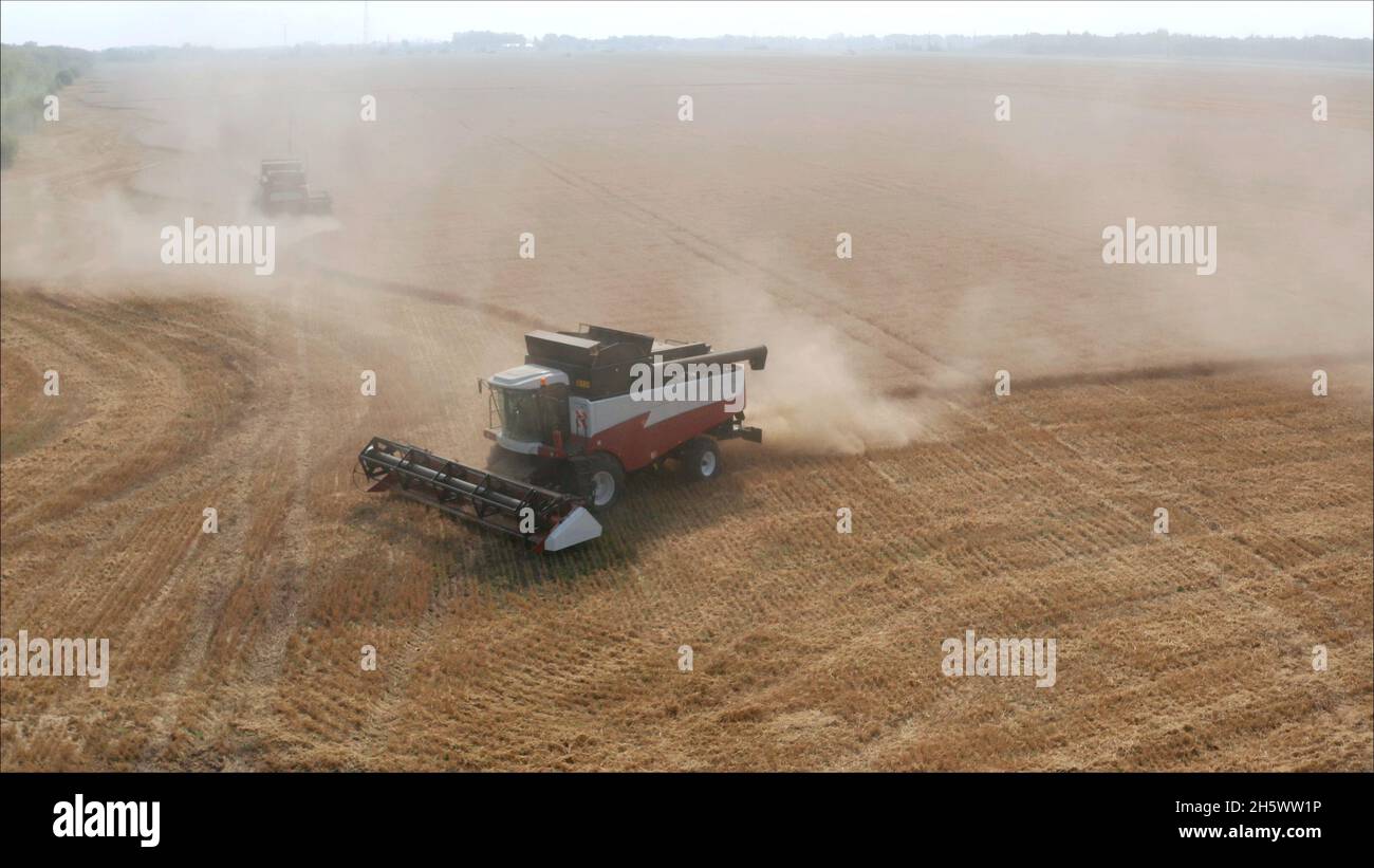 Collecting wheat hi-res stock photography and images - Alamy