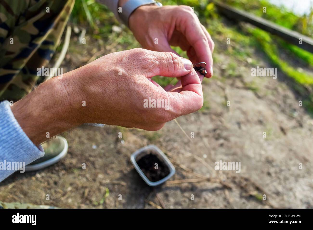 Fisherman threading an earthworm on a fishing hook. Bait in hands Stock ...