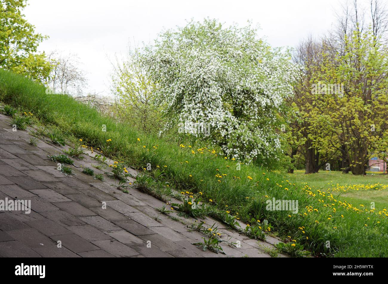 Bright summer day outdoors with lush greenery surrounding a stone ...