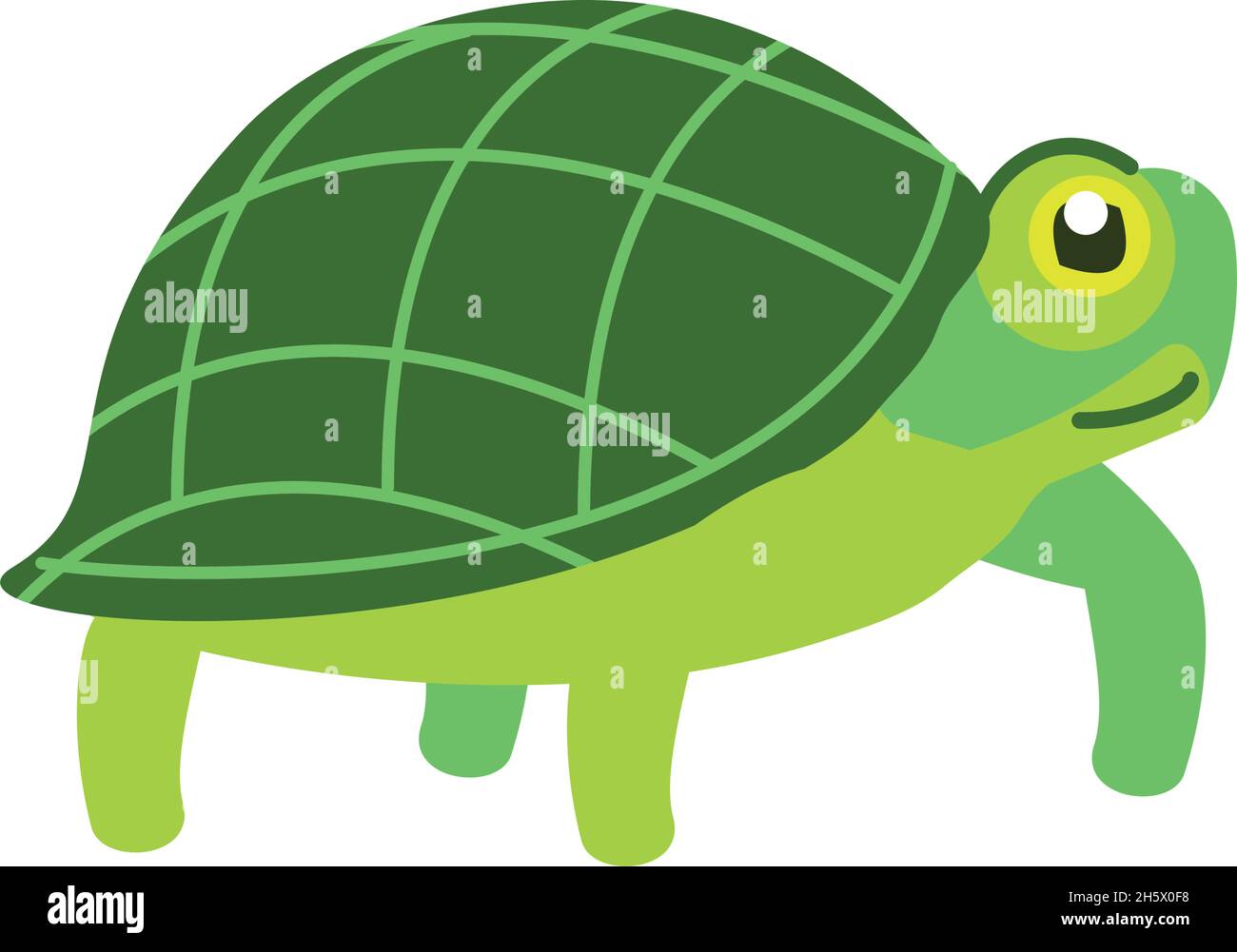 green turtle animal Stock Vector Image & Art - Alamy