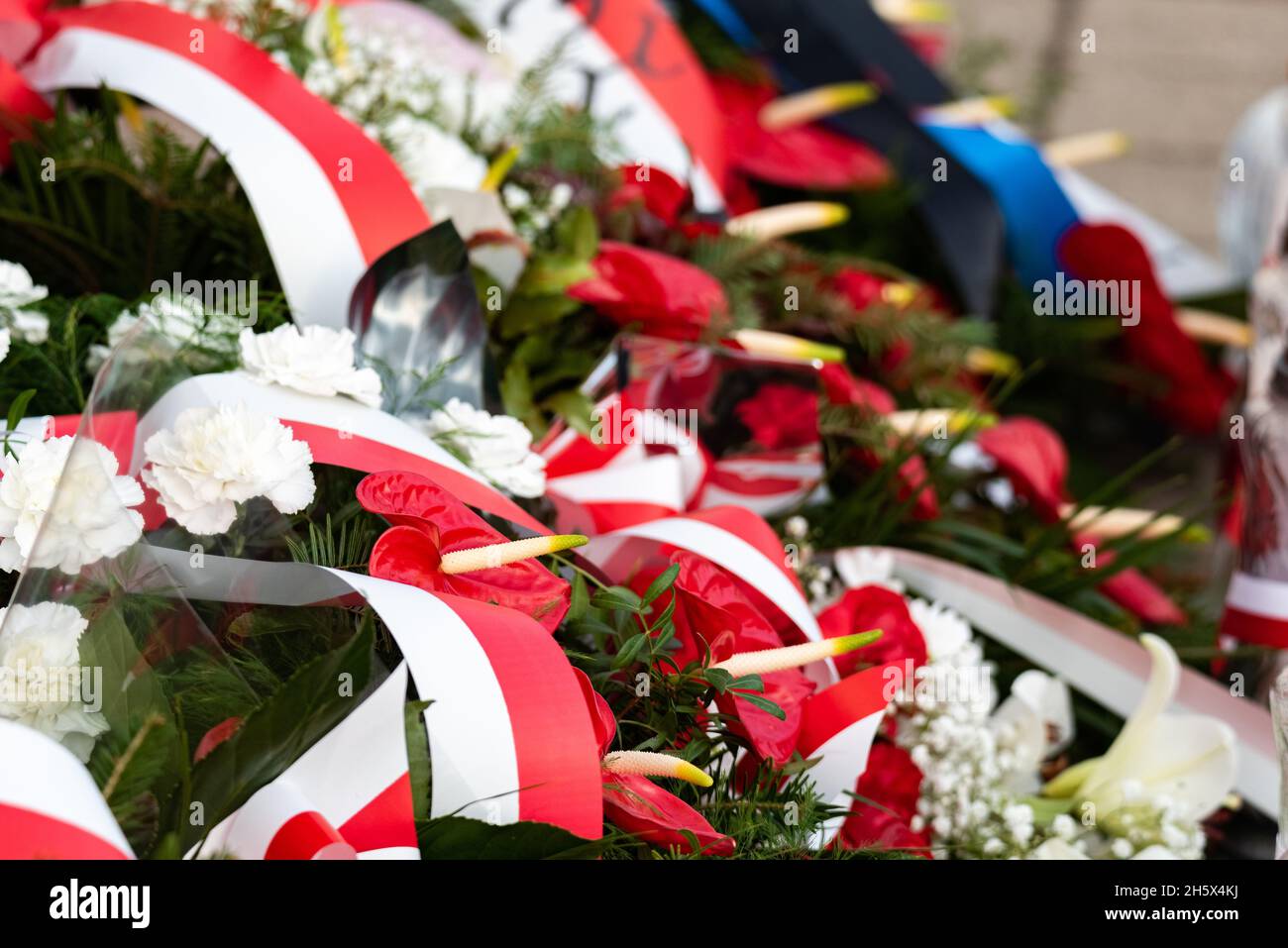 White and red flowers with a ribbon in Polish national colors. National ...