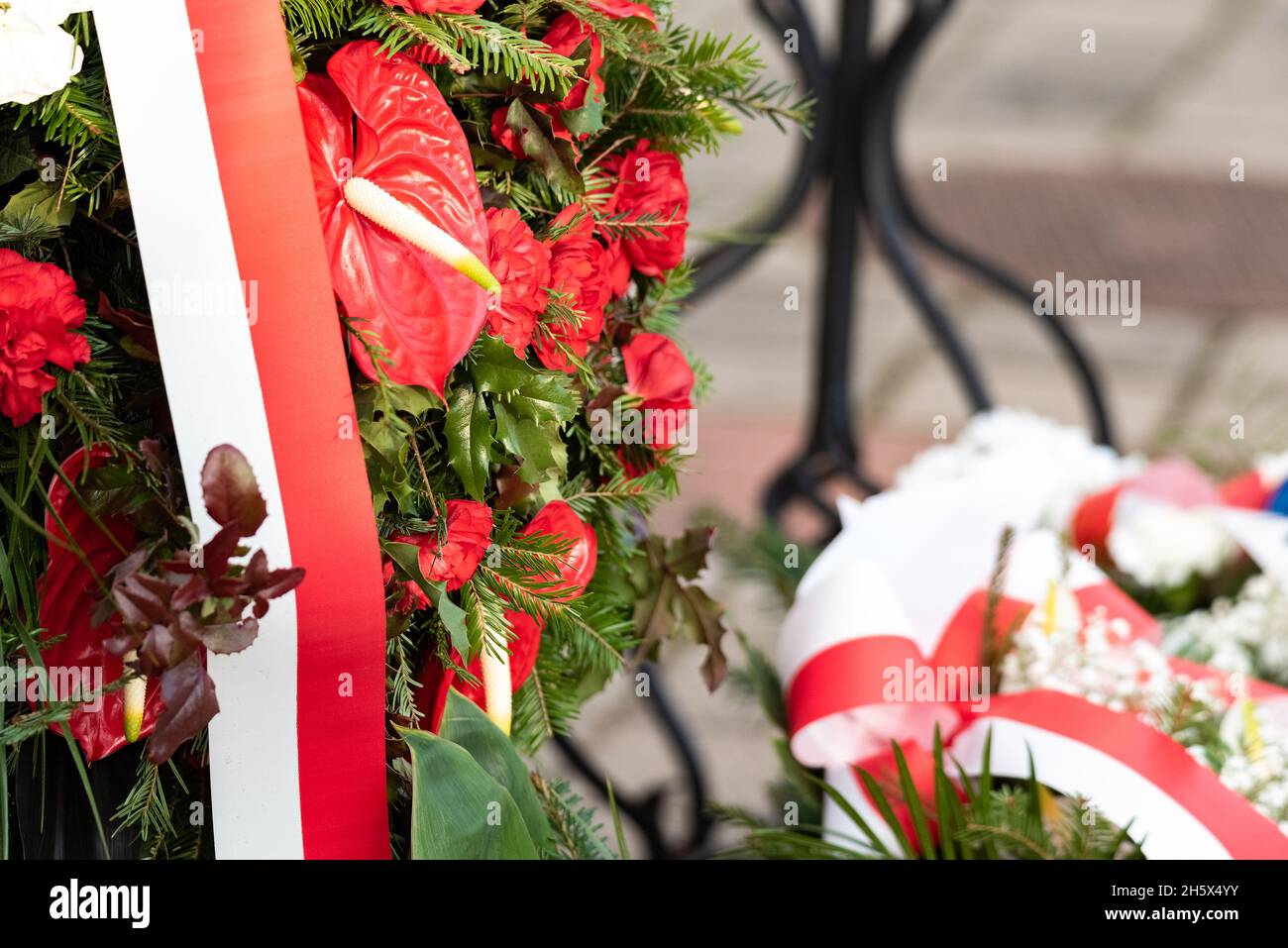 White and red flowers with a ribbon in Polish national colors. National ...