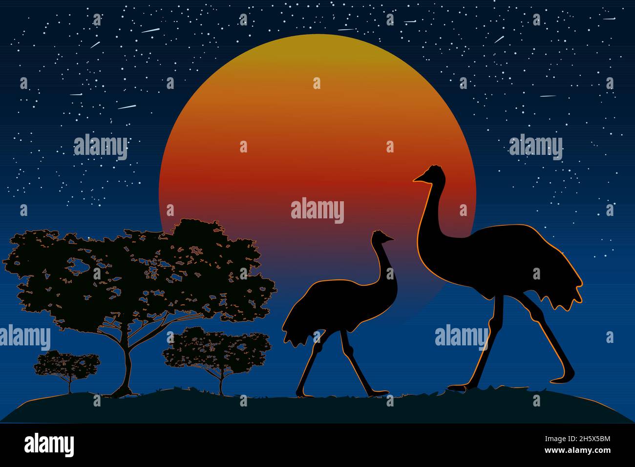 Silhouette of emu family on sunset.Ostrich at australian landscape with ...