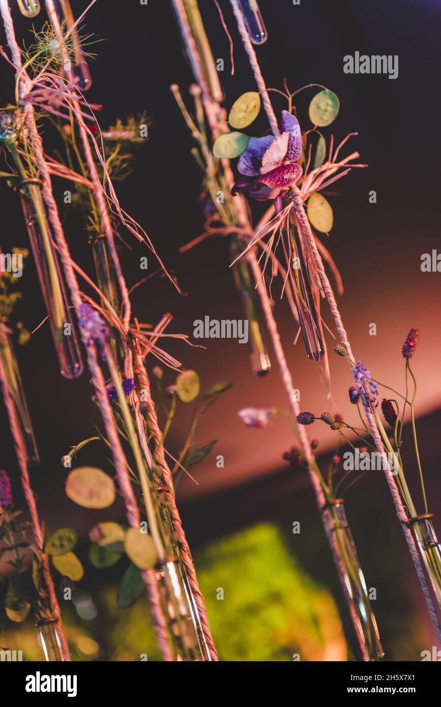 Vertical shot beautiful natural hi-res stock photography and images - Alamy