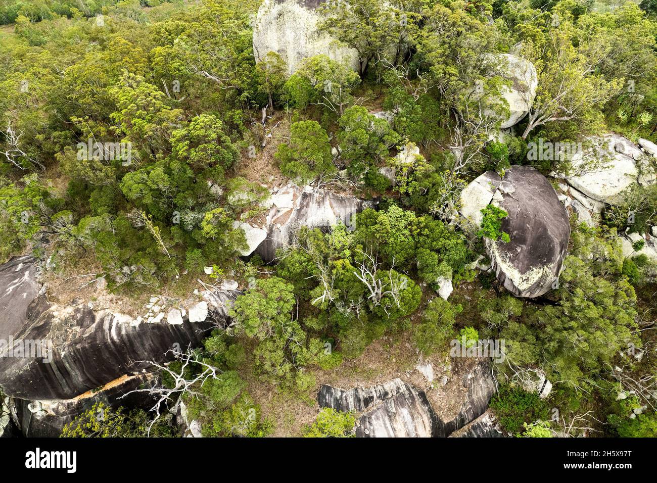 Overhead view of large boulders and trees on a mountainside on the top ...
