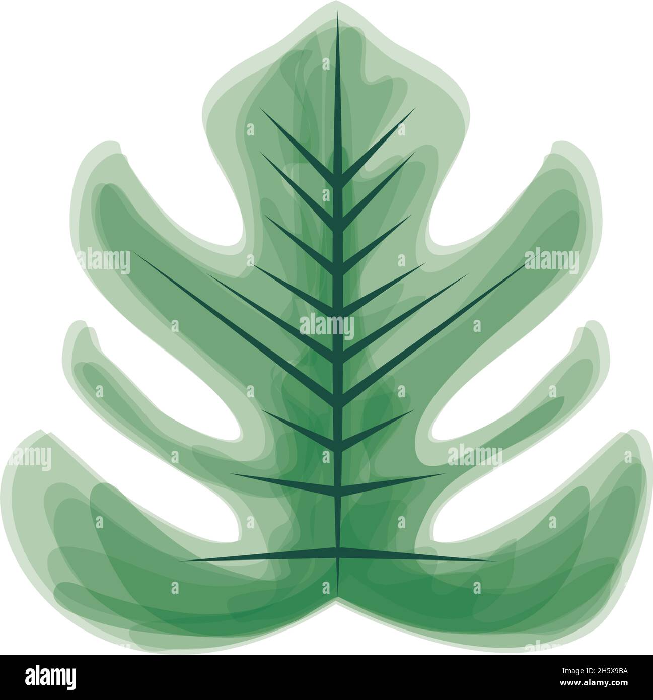 leaf monstera icon Stock Vector Image & Art - Alamy