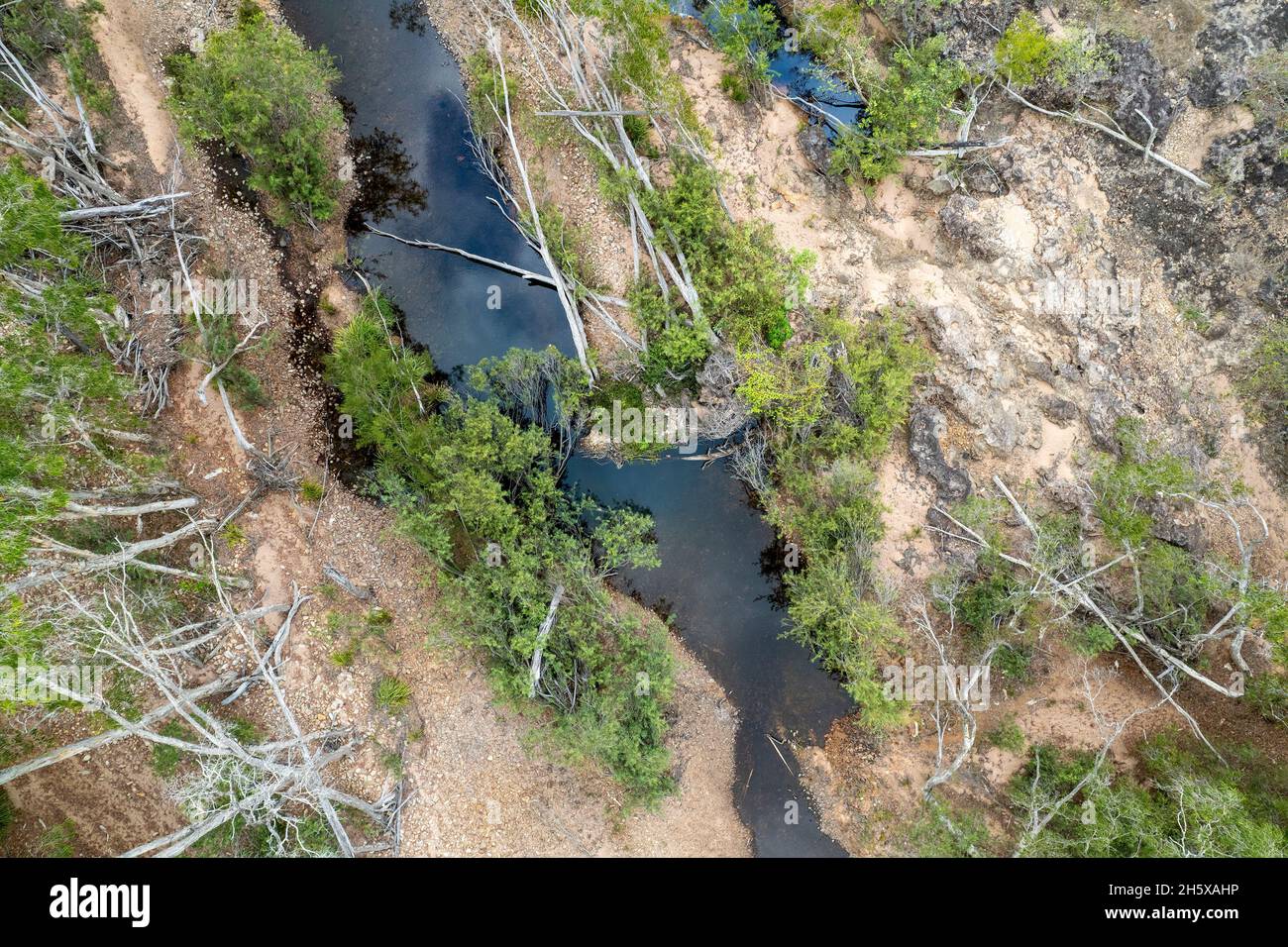 Top down view of a creek with fallen trees and water reflections ...
