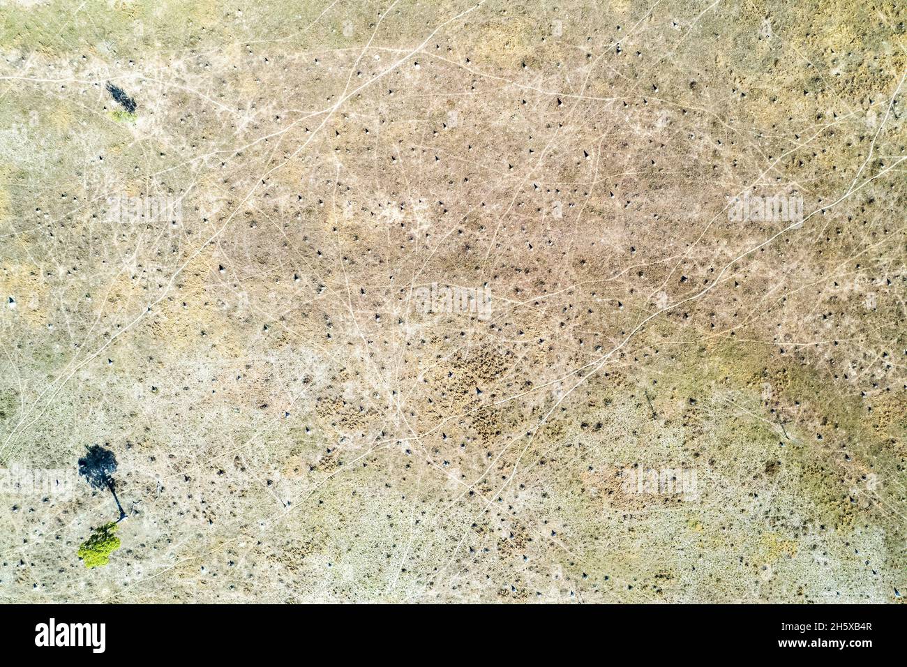 Top down view onto lots of termite mounds with tracks running through ...