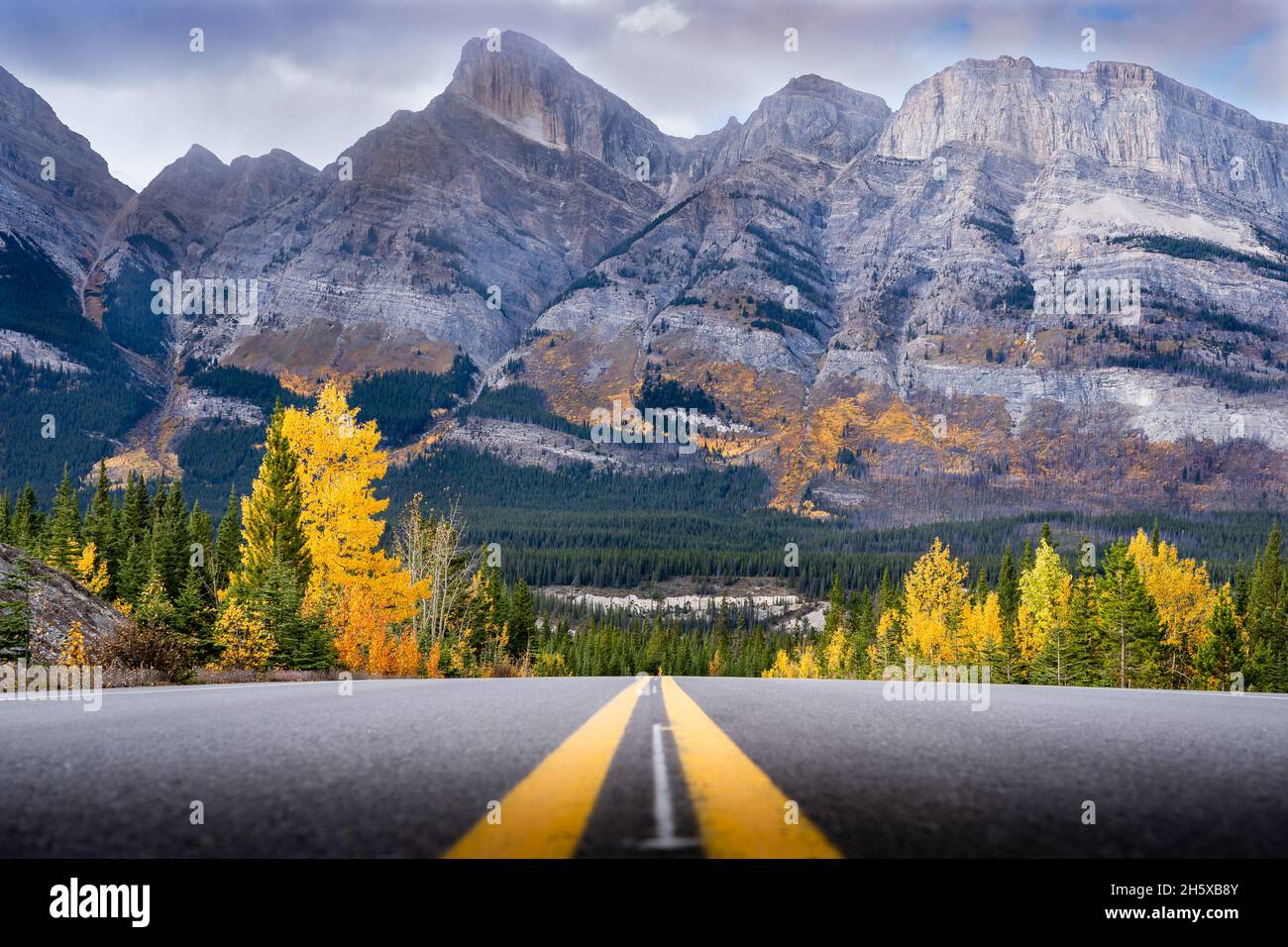 Highway 93 along the Icefields Parkway during fall colours in the ...