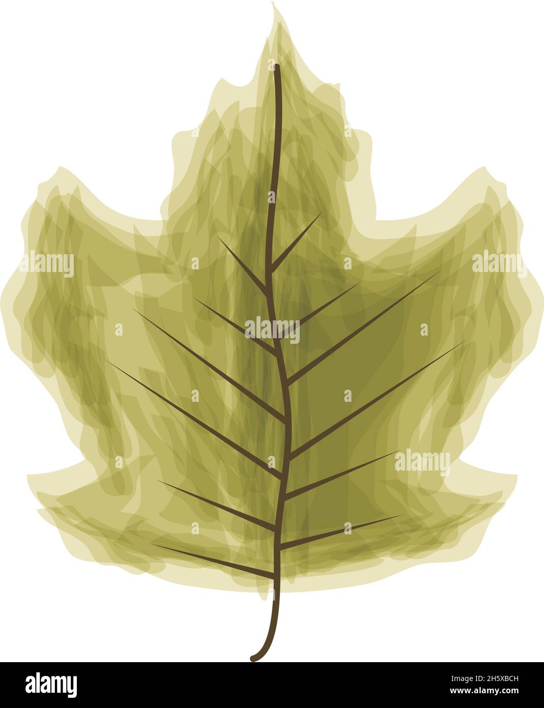 natural leaf plant Stock Vector Image & Art - Alamy
