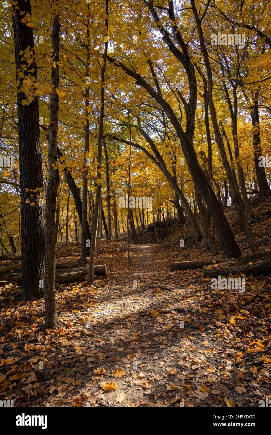 Starved rock state park autumn hi-res stock photography and images - Alamy