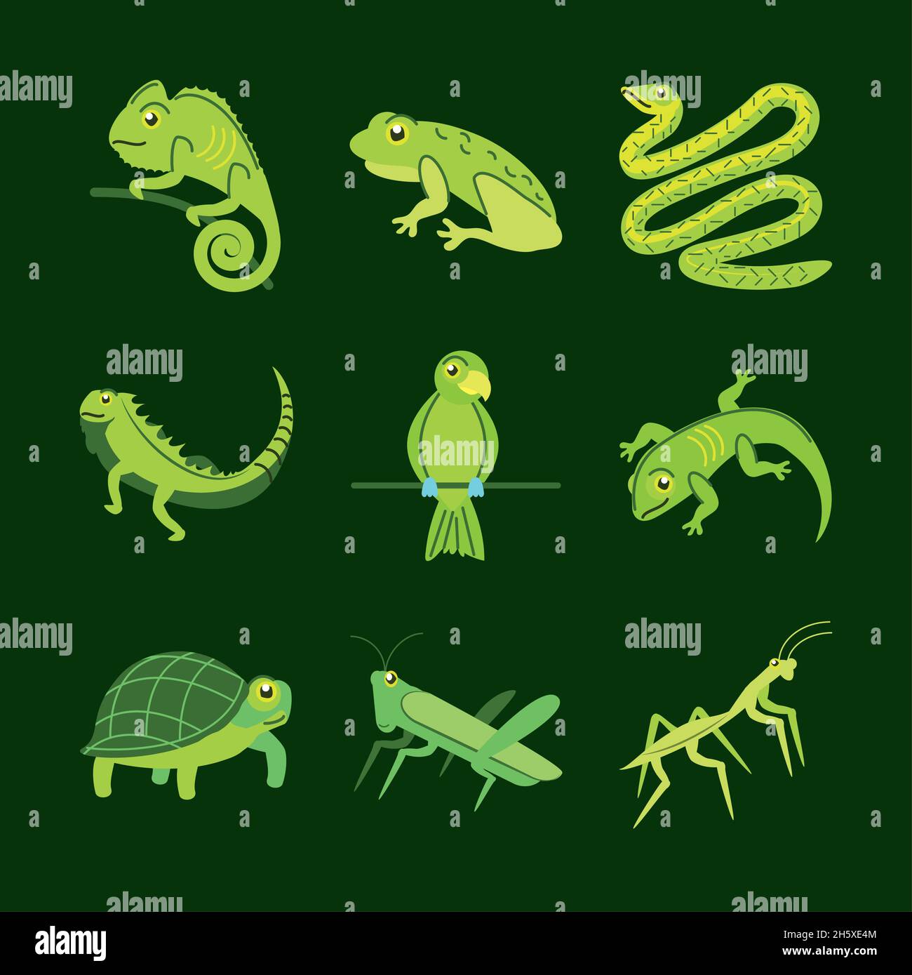 set green animals Stock Vector Image & Art - Alamy