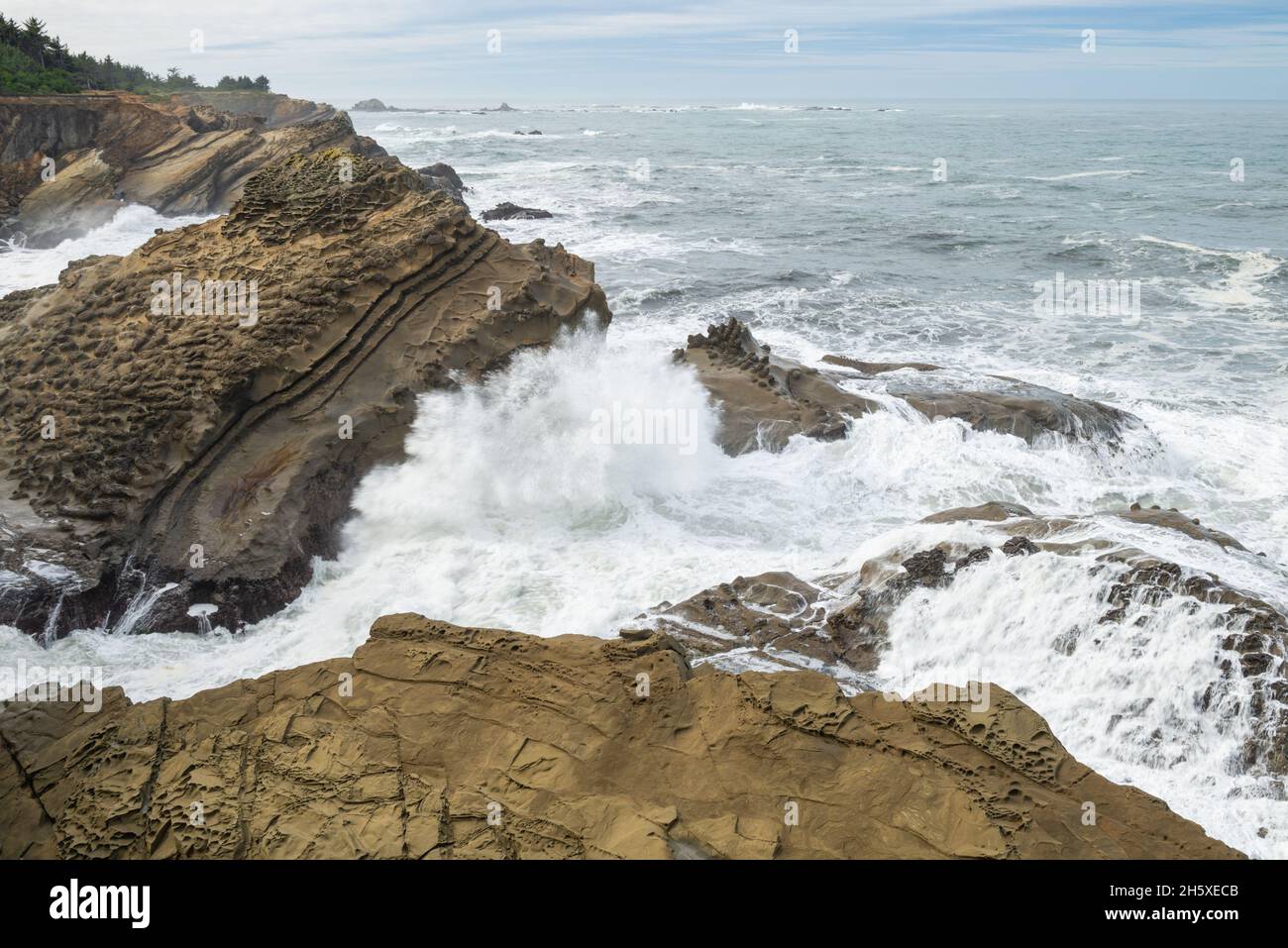 View from Shore Acres State Park; magnificant sandstone formations ...