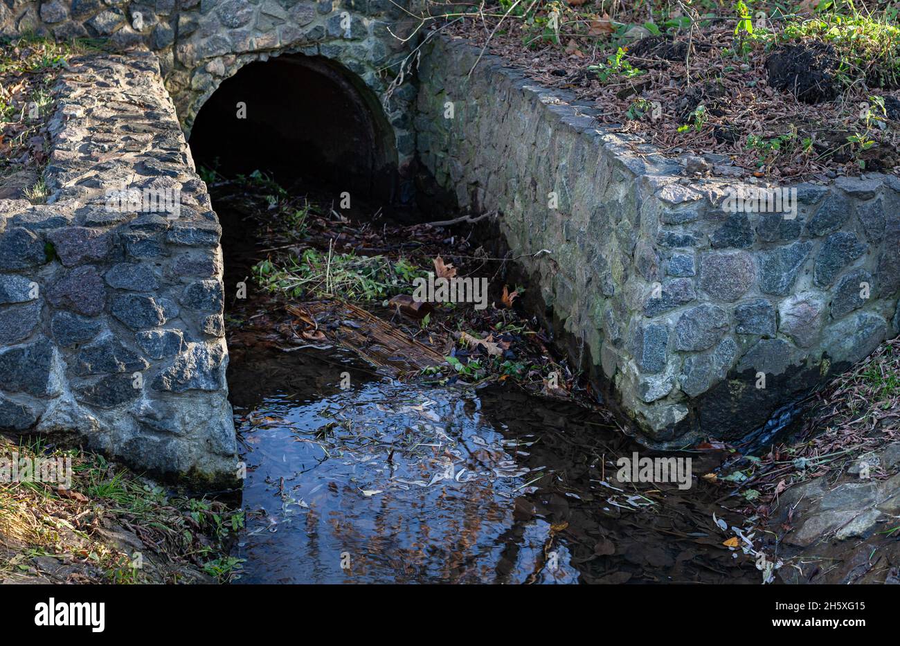 drain collector in the park. High quality photo Stock Photo - Alamy