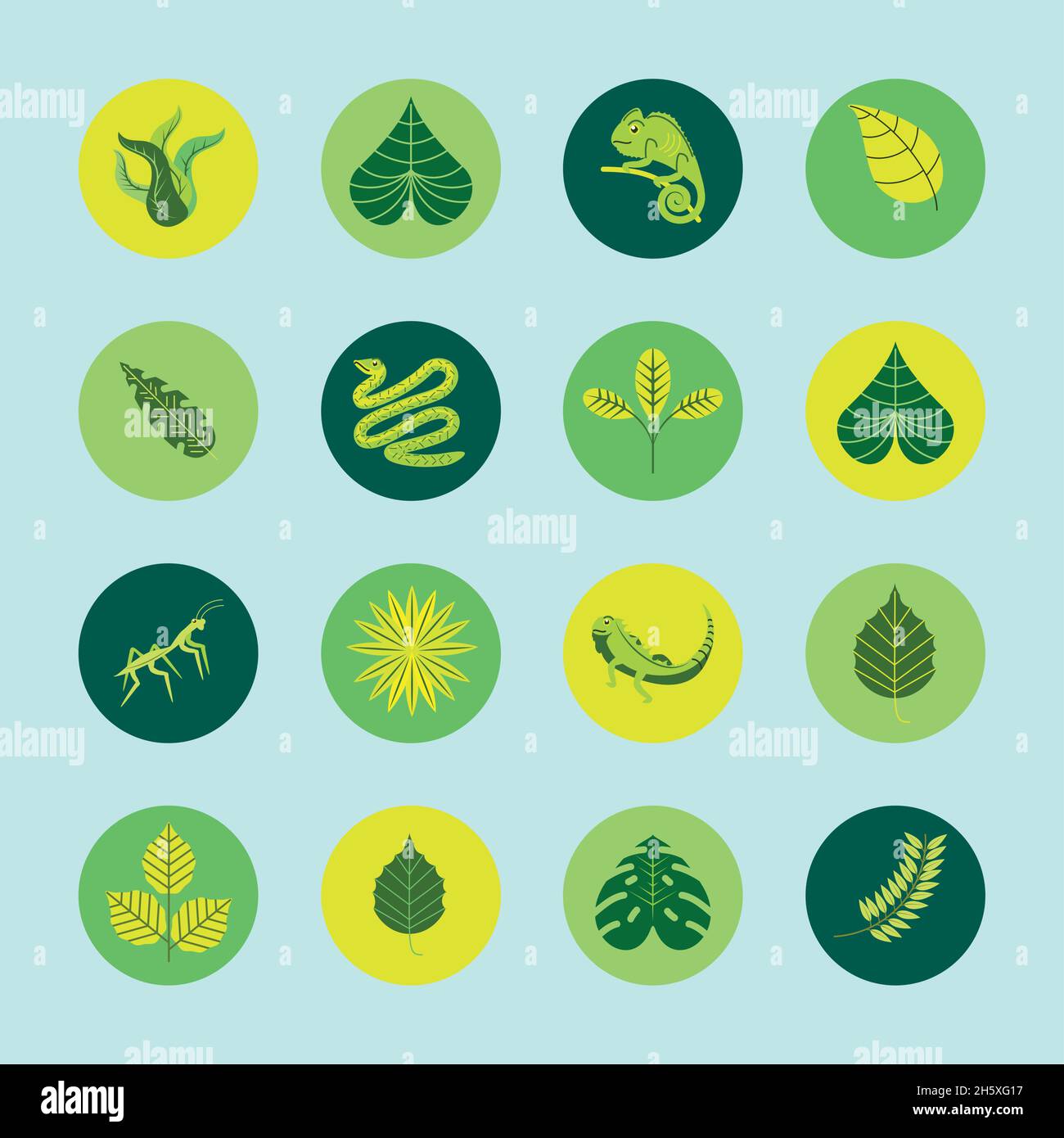 green leaves icons Stock Vector Image & Art - Alamy