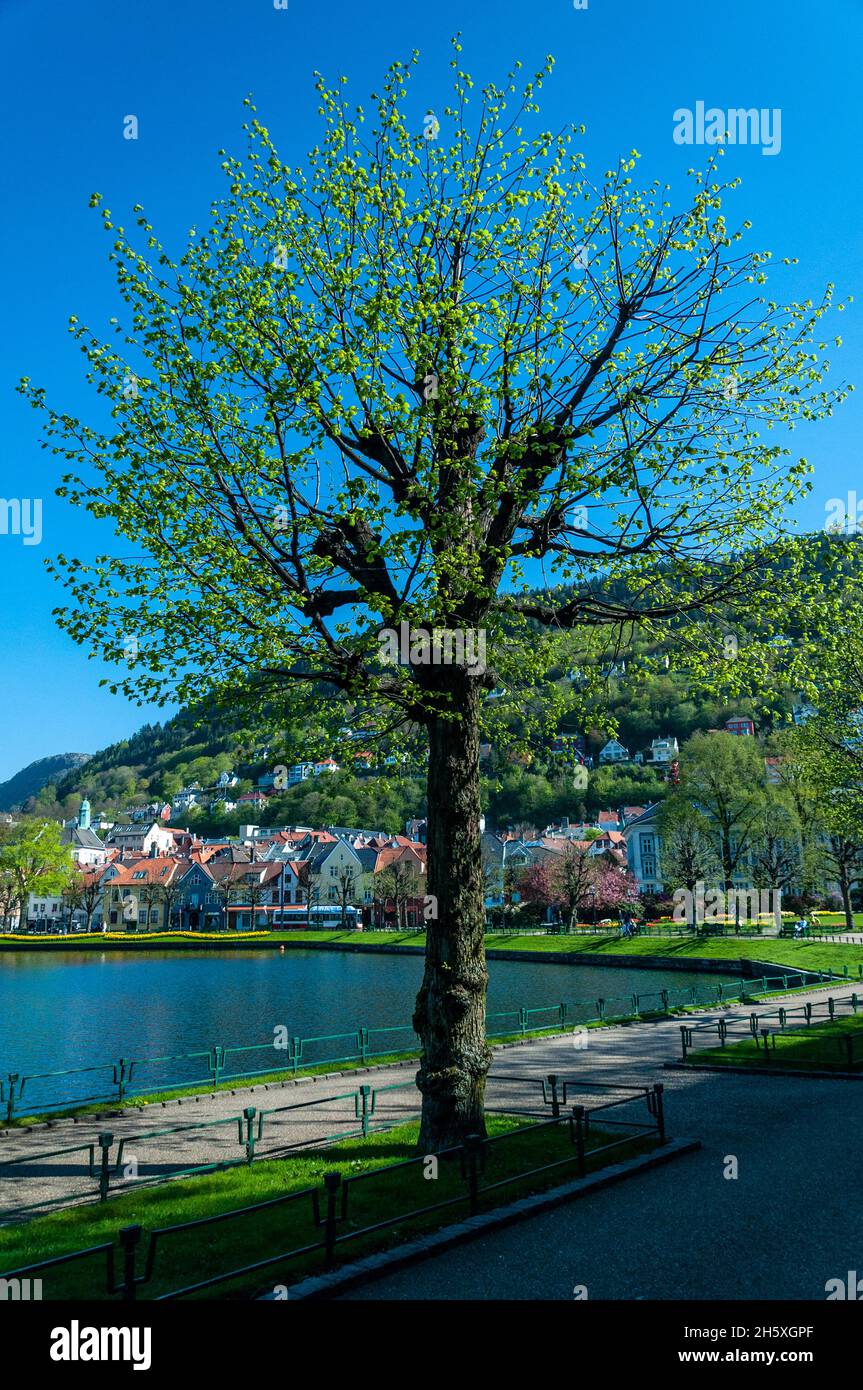 Water fountain bergen norway hi-res stock photography and images - Alamy