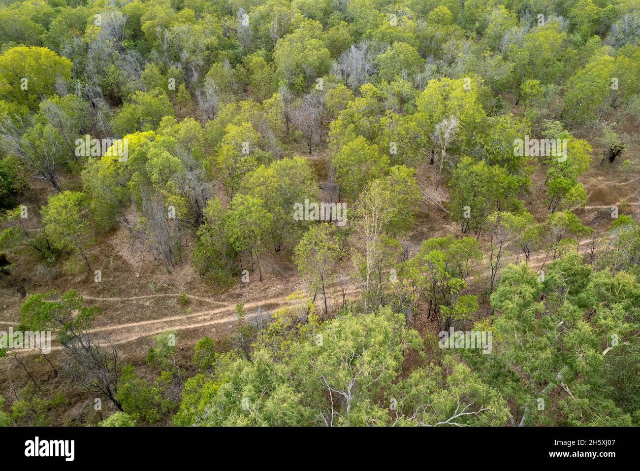 Drone image of a dirt track through the Australian bush Stock Photo - Alamy